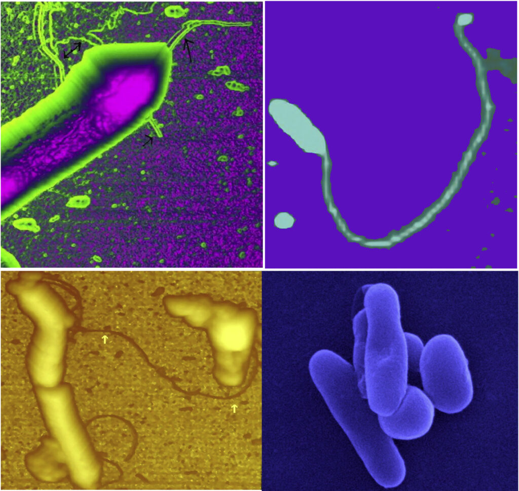AASM Online Course - AASM - Asian -African Society of Mycobacteriology